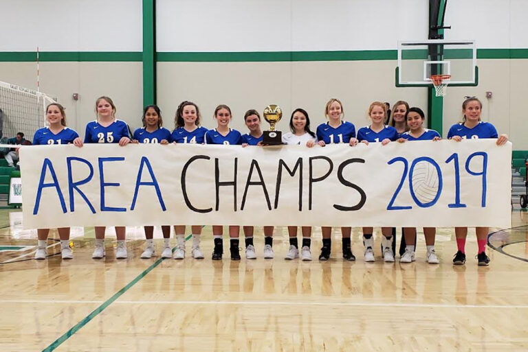 Playoff Volleyball Roundup – Bowie News