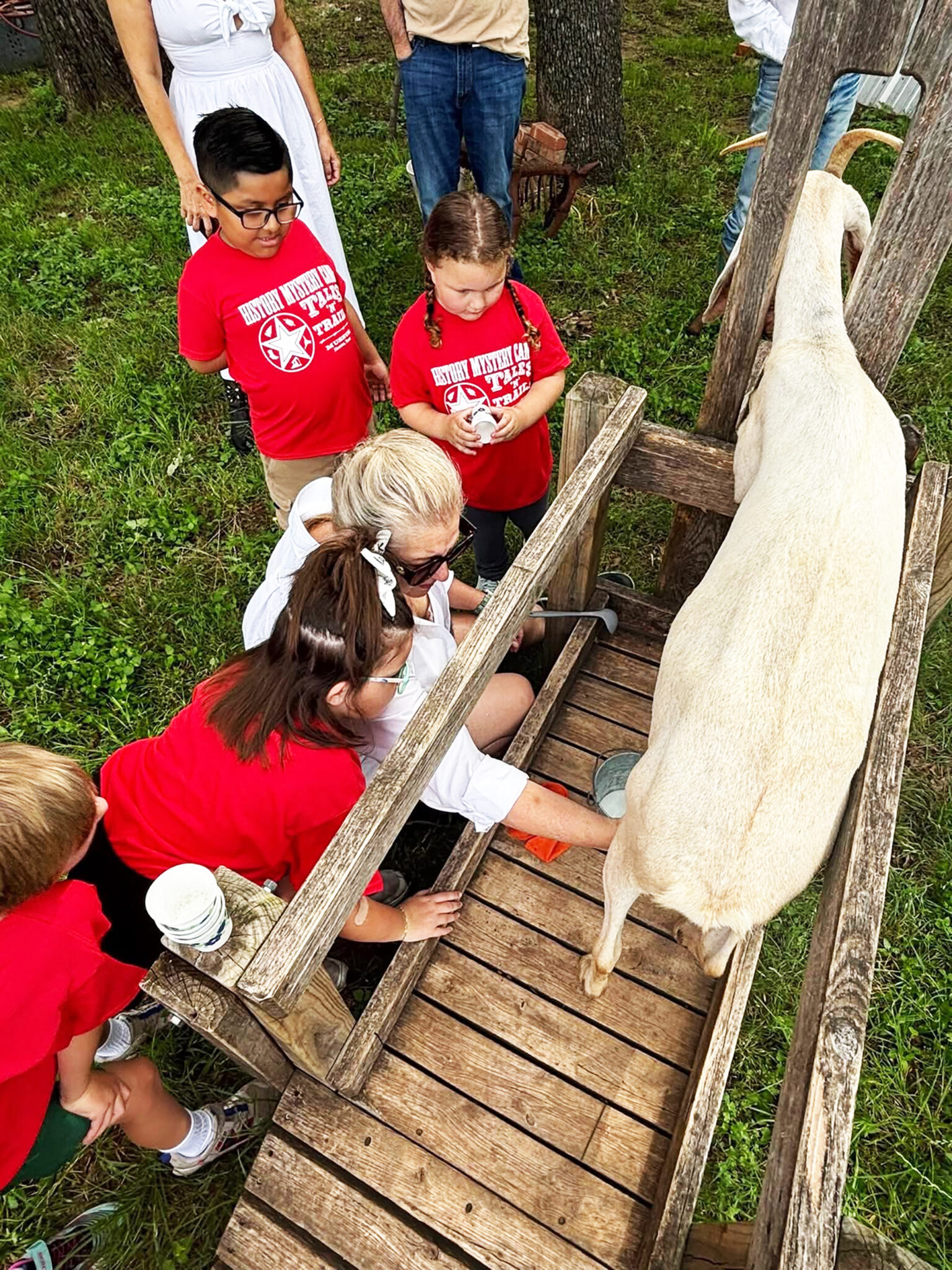 Spring, goats and a little bit of panic – Bowie News